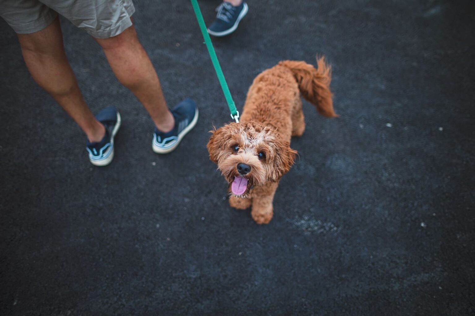 Upcoming Events | The Parks At Walter Reed The Parks DC Historic Walter ...